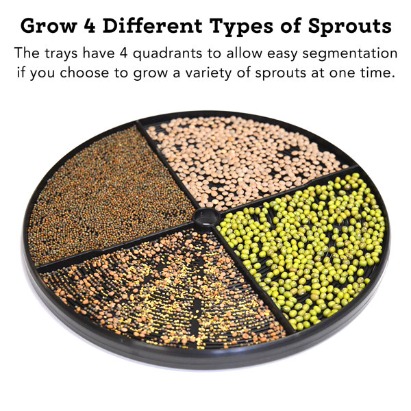 Tribest Freshlife Automatic Sprouter & Reviews | Wayfair