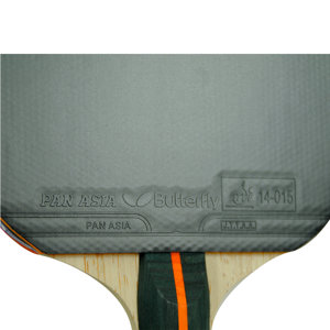 Butterfly Timo Boll 1000 Paddle | Wayfair