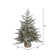 The Holiday Aisle® Frosted Sable Pine Artificial Christmas Tabletop ...