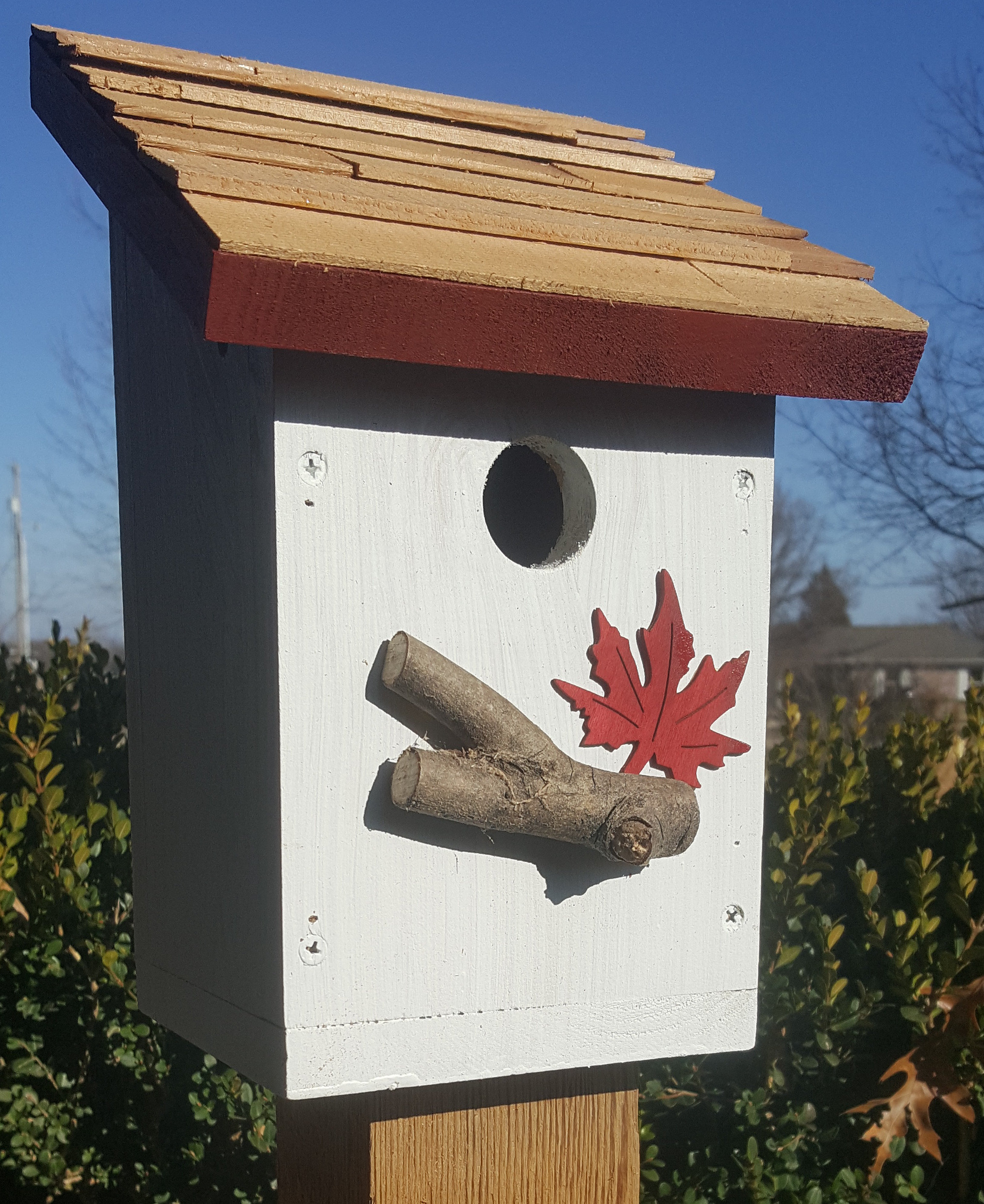 August Grove® Mikayel Salt Box 12 in x 7 in x 8 in Birdhouse | Wayfair