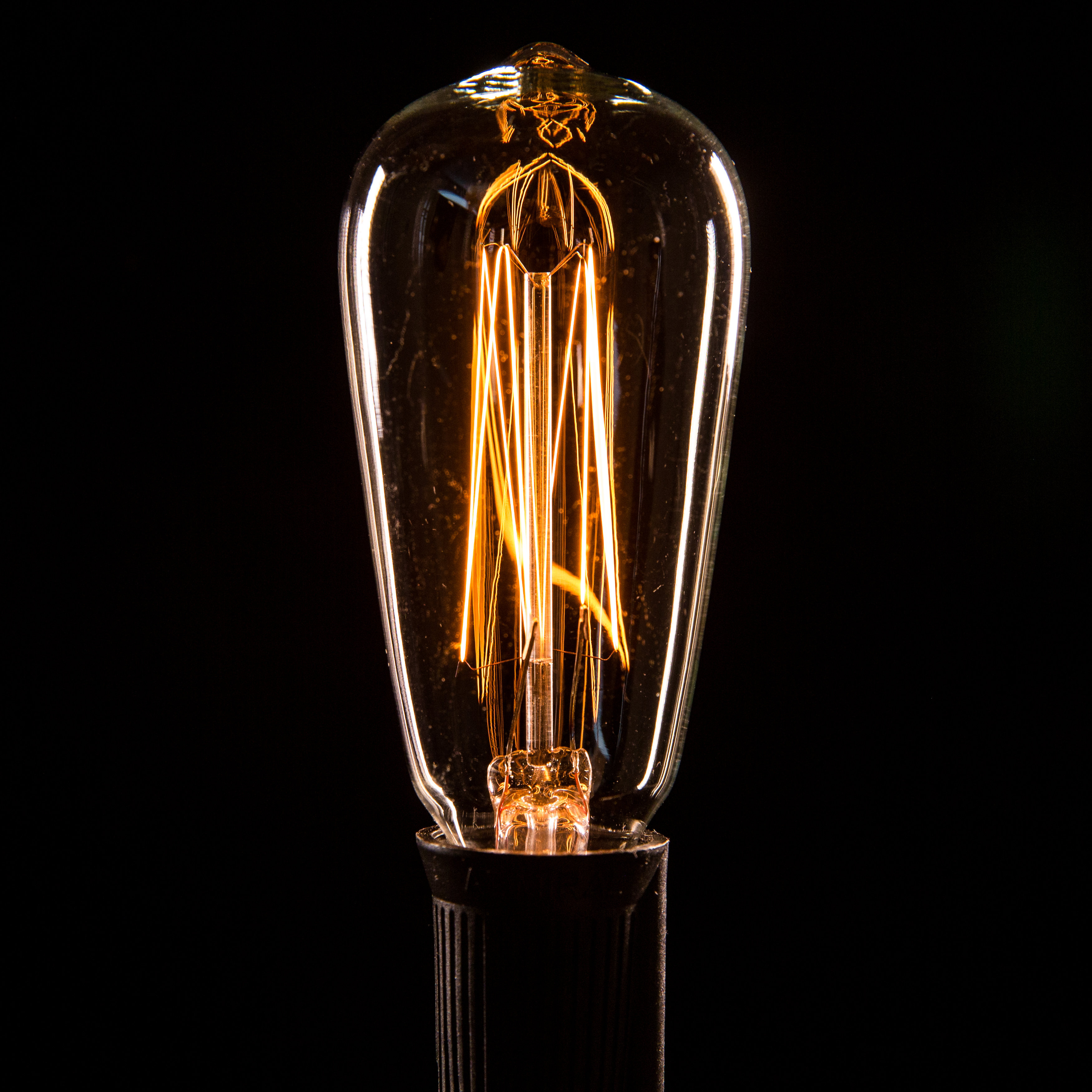 HometownEvolutionInc Edison String Lights 25'' Outdoor 25 - Bulb ...