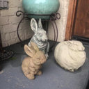 Campania International, Inc Fat Rabbit Statue & Reviews | Wayfair