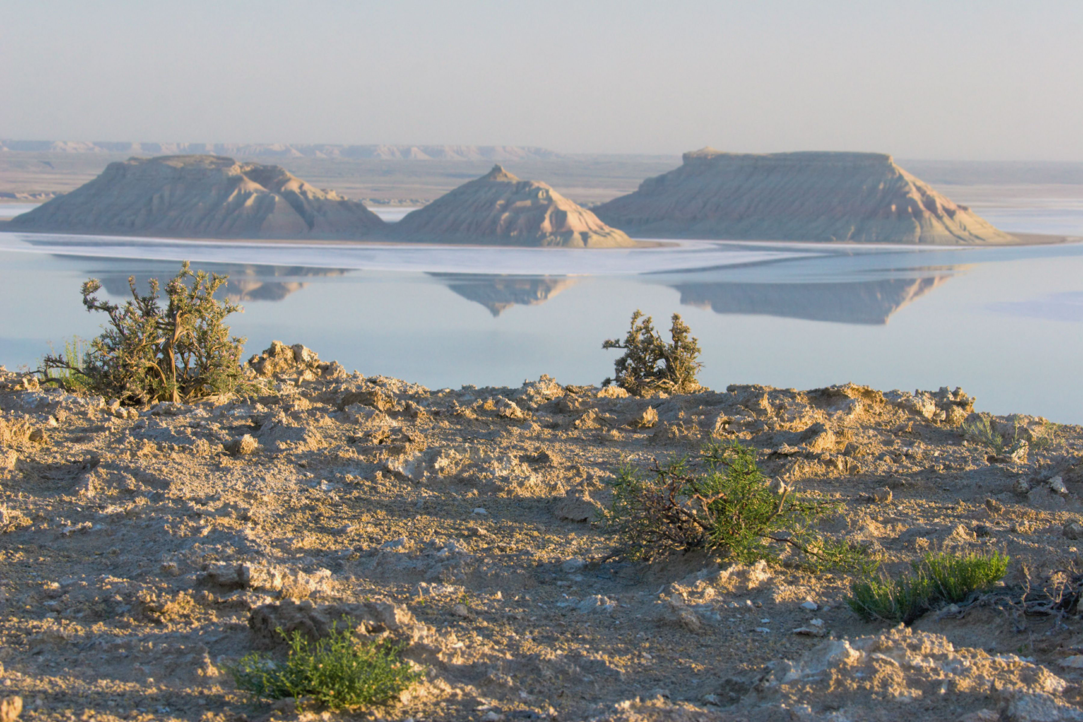 Ebern Designs Mangistau Region by Ustinenko - Wrapped Canvas Photograph ...