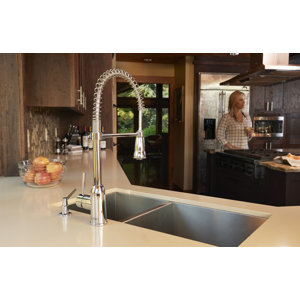 Pacific Bay Rainier Pull Down Kitchen Faucet & Reviews | Wayfair