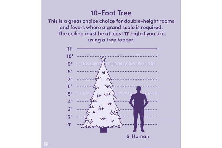 Your Guide to Christmas Tree Sizes | Wayfair