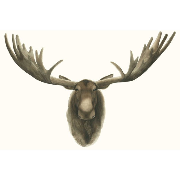 Loon Peak® Moose Bust by Grace Popp - Wrapped Canvas Print | Wayfair