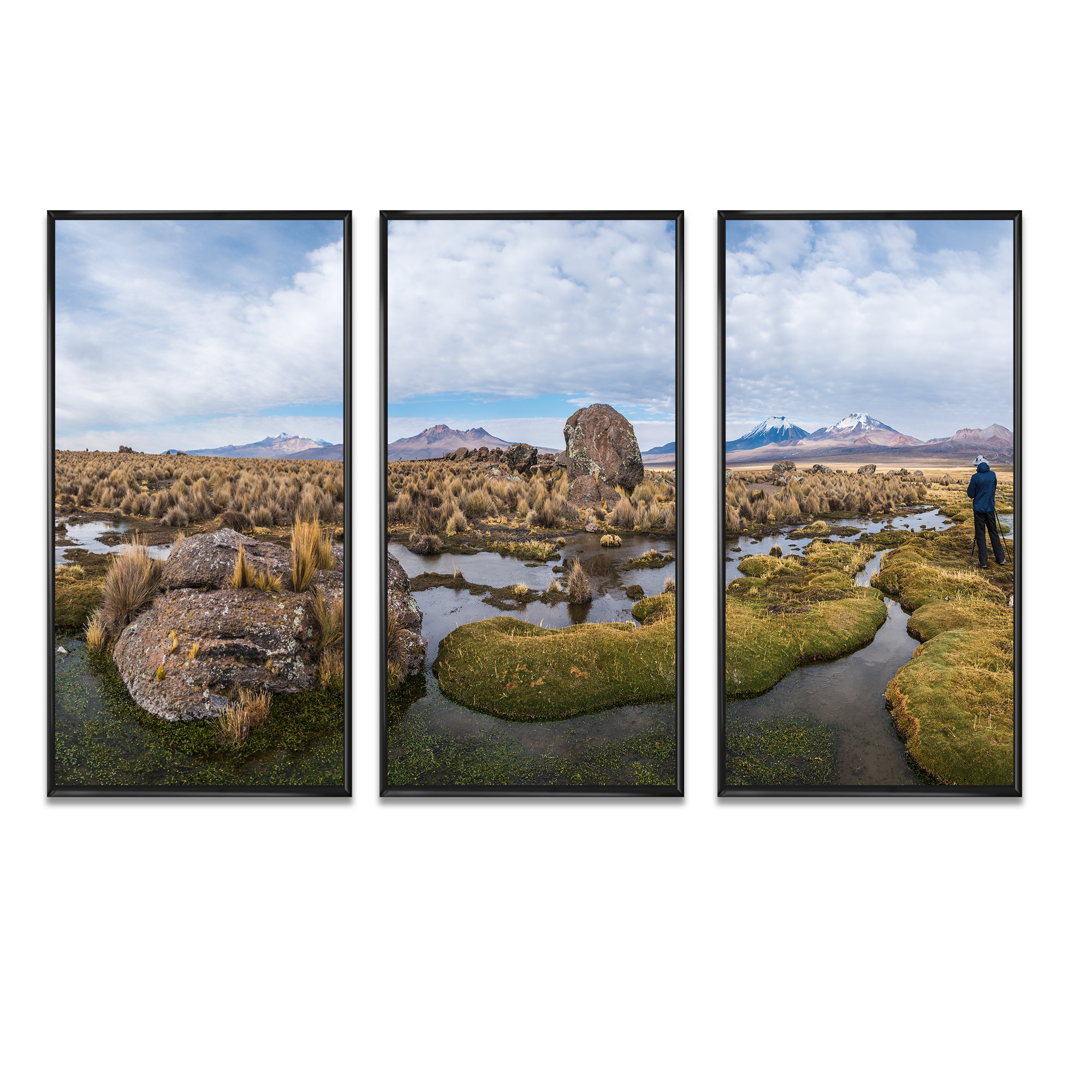 Millwood Pines Bolivia Volcanoes Panoramic View Bolivia Volcanoes ...