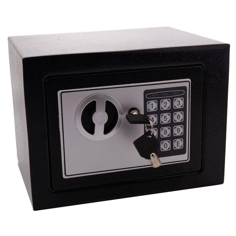 Ktaxon Password Steel Plate Safe Box with Dual-Lock & Reviews | Wayfair