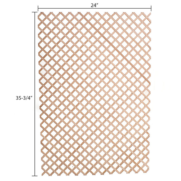 Latitude Run® 24 in x 35-3/4 in x 3/8 in Unfinished Diagonal Solid ...