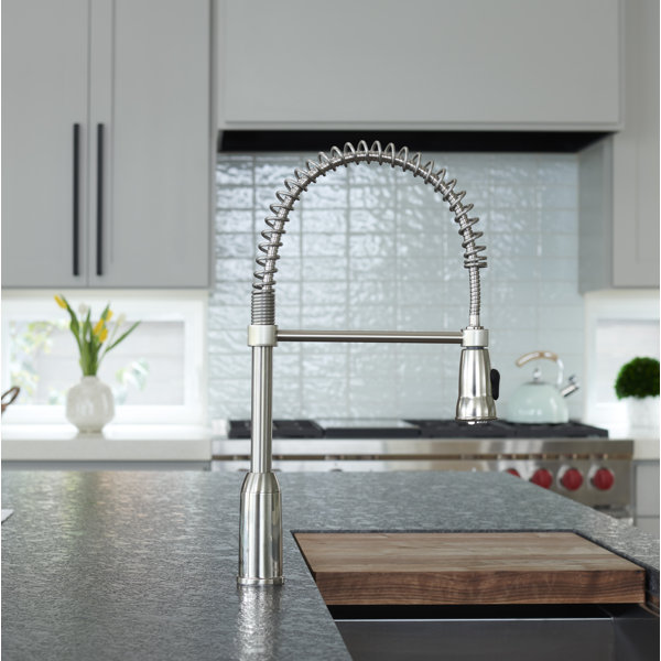 Pacific Bay Rainier Pull Down Kitchen Faucet & Reviews | Wayfair