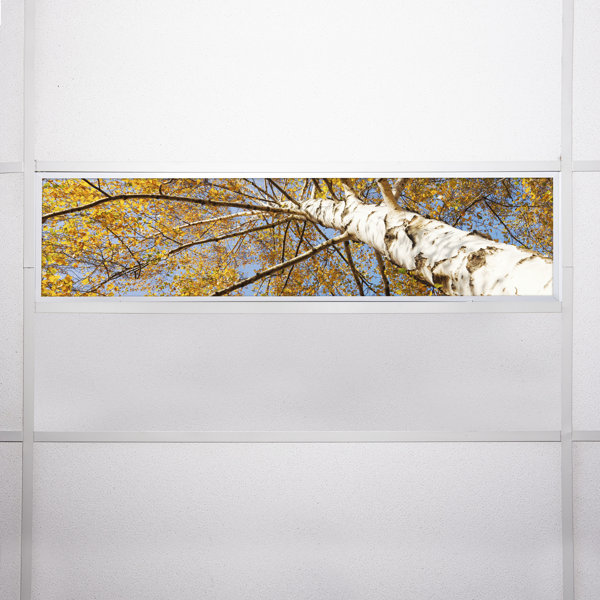 Octo Lights Trees Flexible Decorative Light Cover | Wayfair