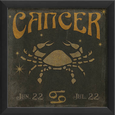 The Artwork Factory Zodiac Single Picture Frame Graphic Art | Wayfair
