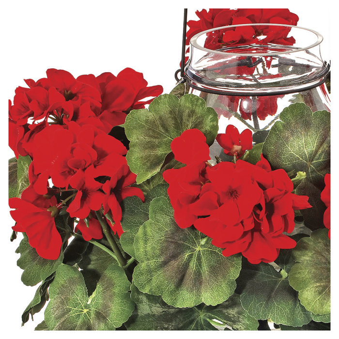 House of Hampton® Mature Geranium Floral Arrangement in Jar | Wayfair
