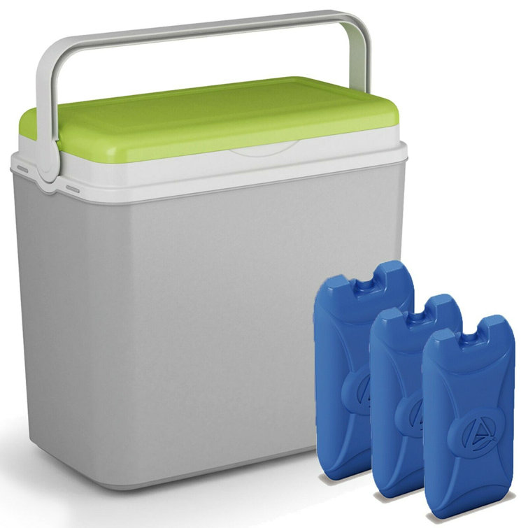 Belfry Kitchen 36 Litre Grey/Green Cooler Box + 3 Ice Packs | Wayfair.co.uk