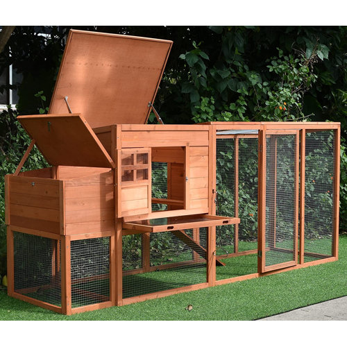 Tucker Murphy Pet™ Cheisa 18.38 Square Feet Chicken Coop with Chicken ...