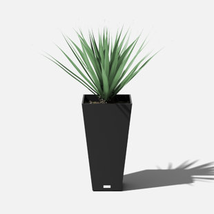 Wayfair | Planters You'll Love in 2023