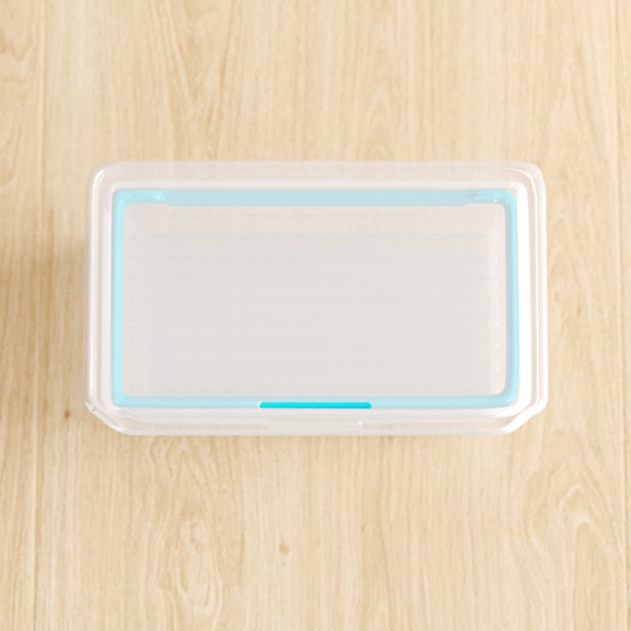 Dotted Line™ Clyde Box Food Storage Container & Reviews | Wayfair