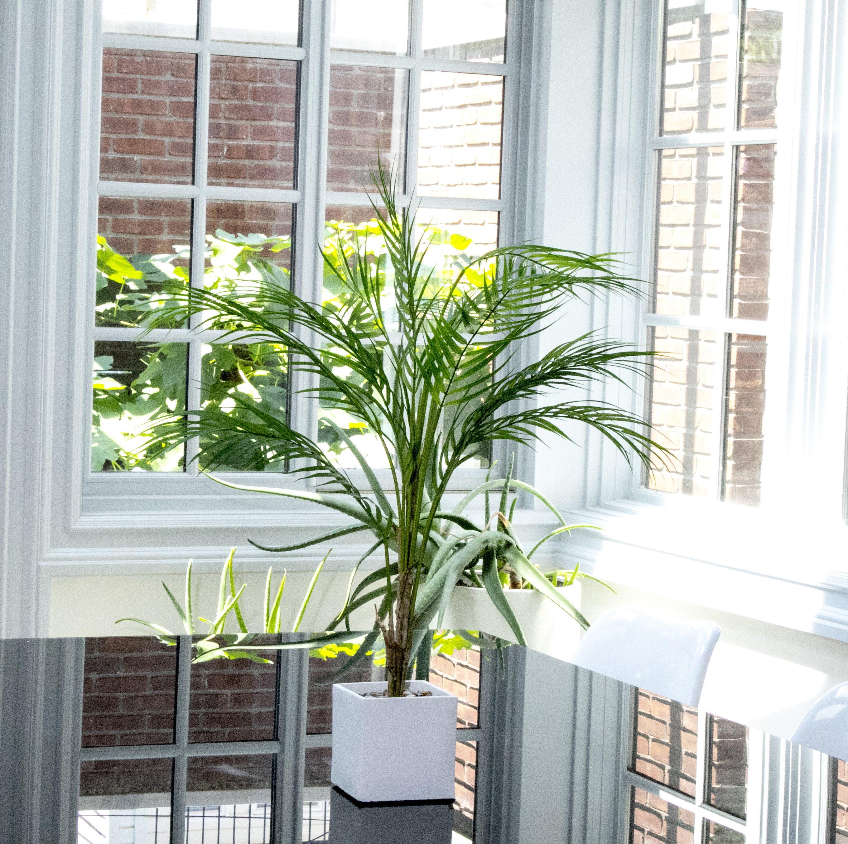 Primrue 30'' Faux Palm Tree in Ceramic Planter & Reviews | Wayfair