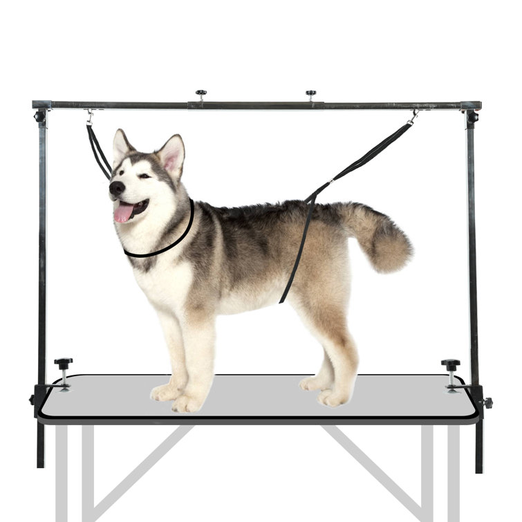 Confote Stainless Steel Adjustable Overhead Pet Grooming Arm | Wayfair