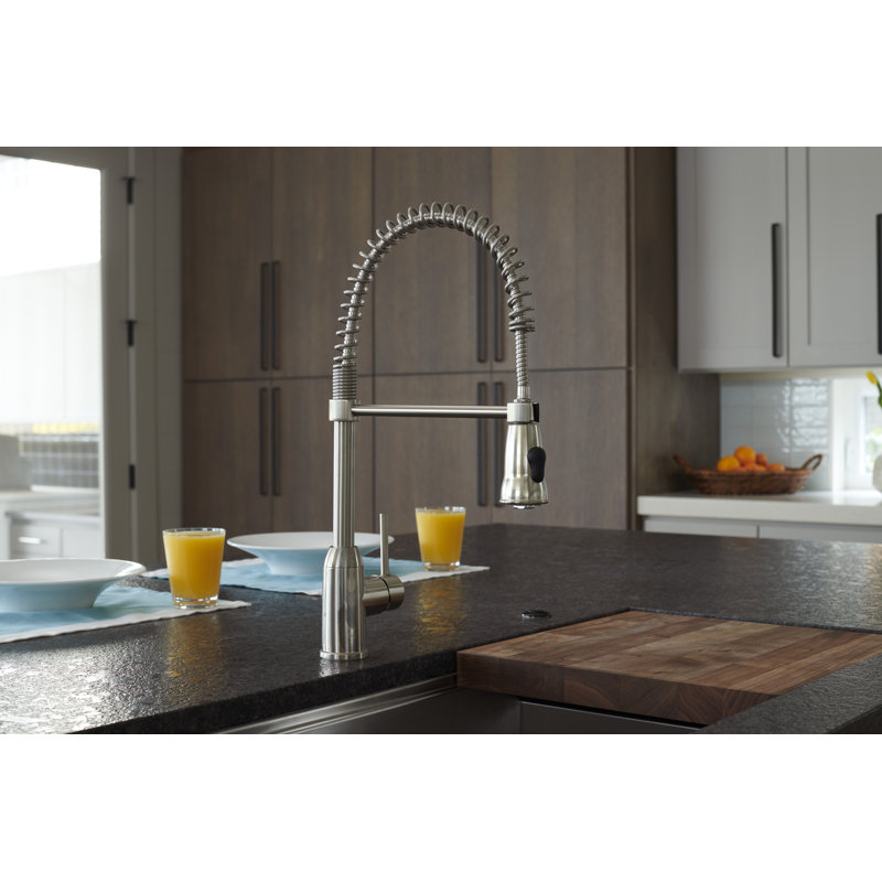 Pacific Bay Rainier Pull Down Kitchen Faucet & Reviews | Wayfair