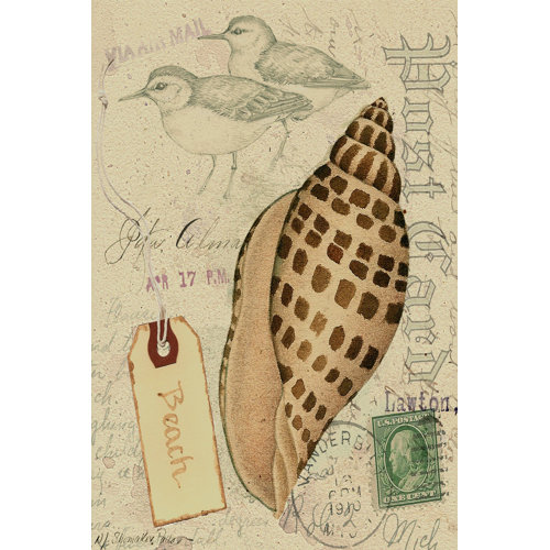 Highland Dunes Postcard Shells I | Wayfair.co.uk