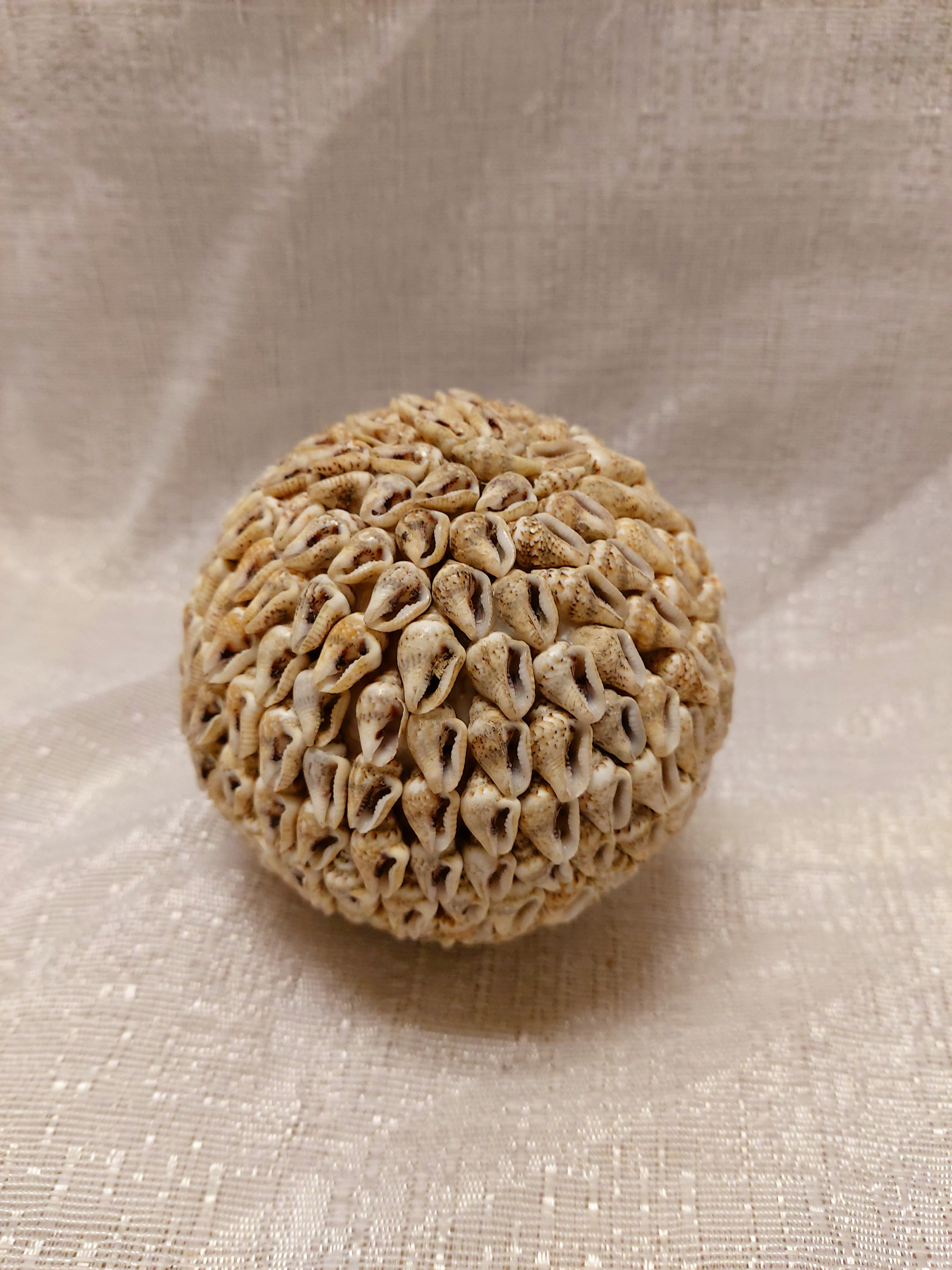 Highland Dunes Lexington Avenue Sea Shell Ball Sculpture | Wayfair
