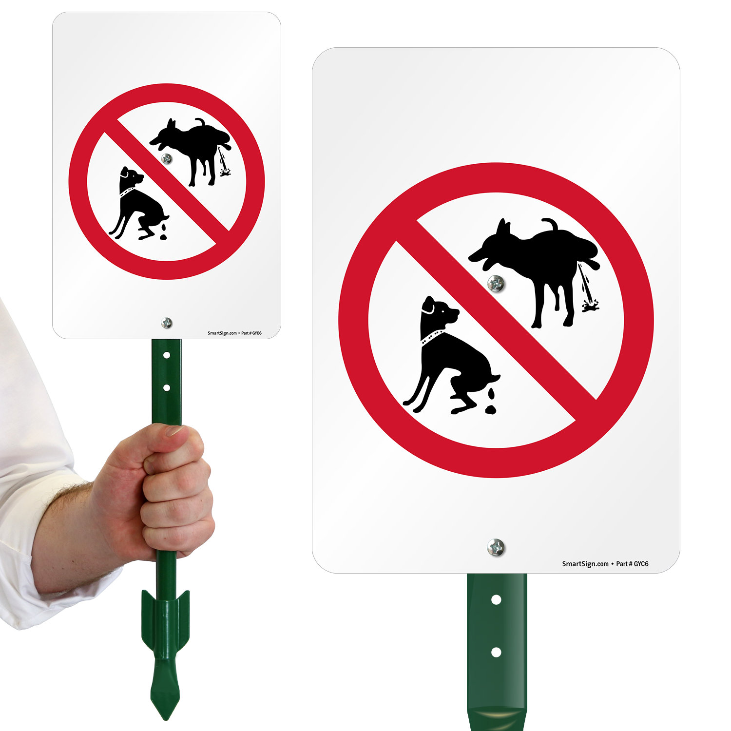 SmartSign No Dog Pooping or Peeing Graphic Sign and Stake Kit | Wayfair