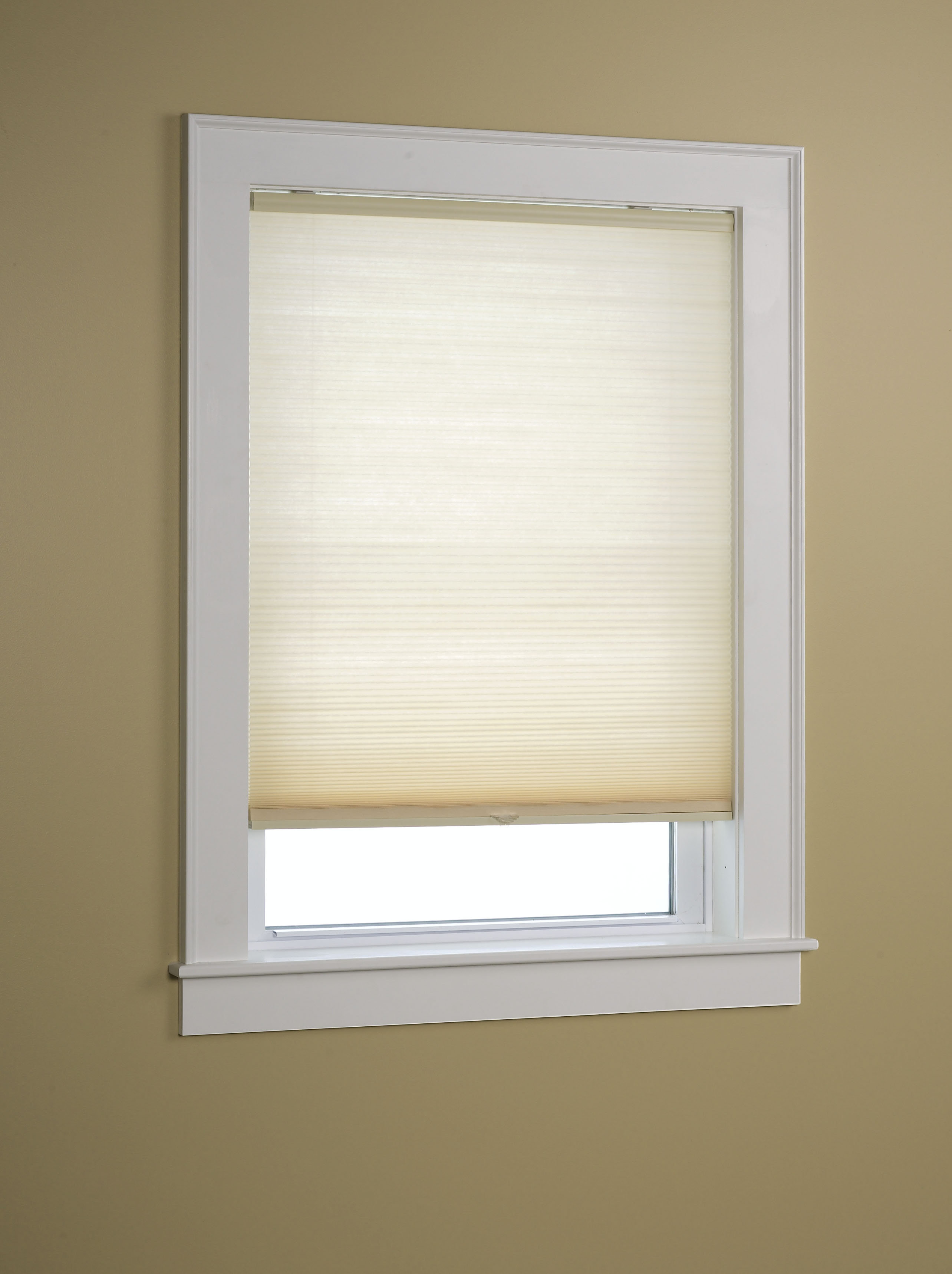 Symple Stuff Semi-Sheer Cellular Shade & Reviews | Wayfair