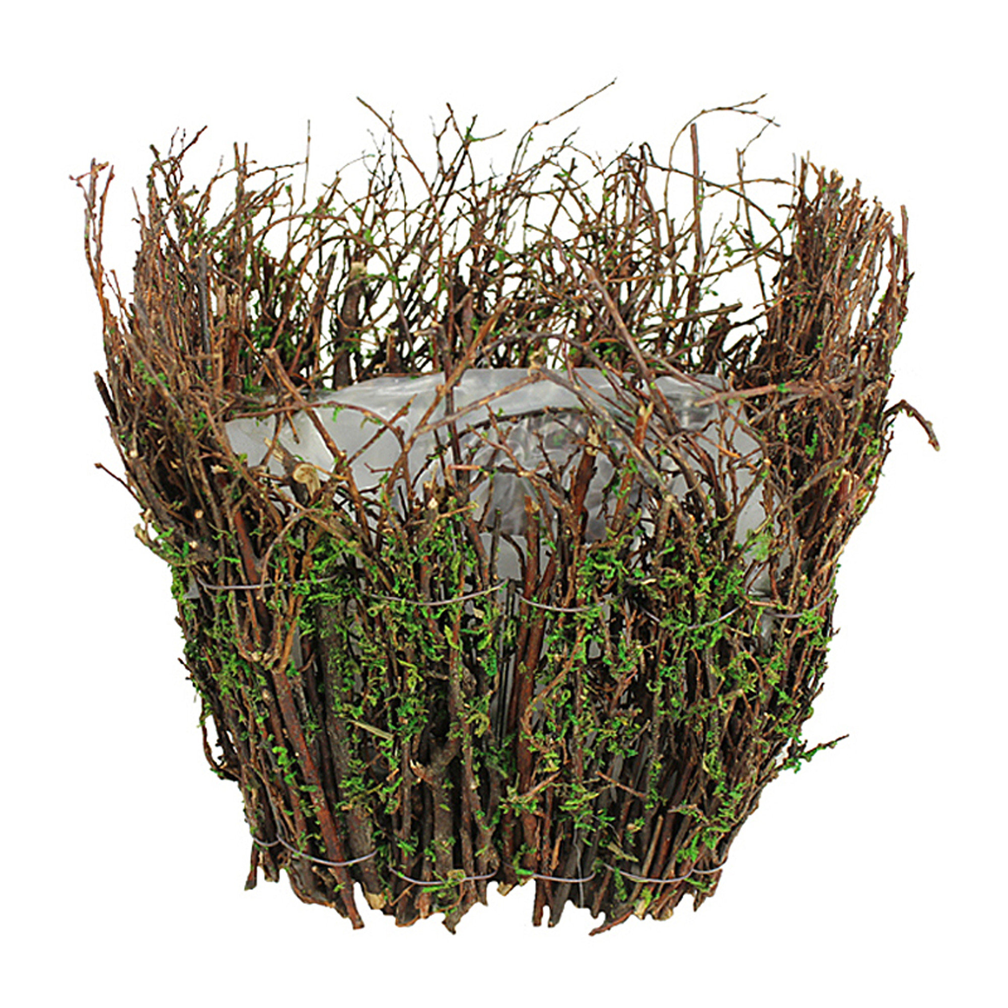 August Grove® Moss Basket & Reviews | Wayfair