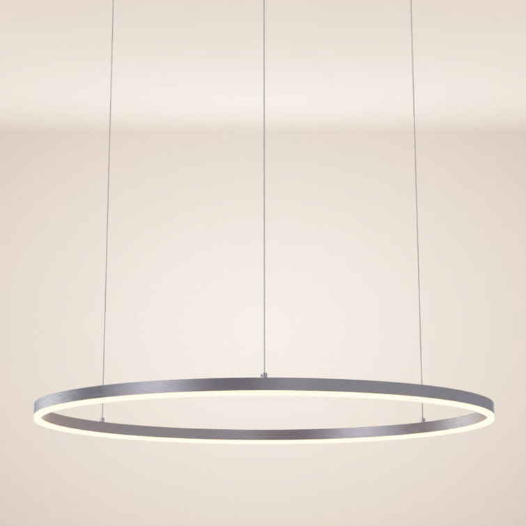 s.luce LED hanging lamp Ring 100 5m suspension 1 | Wayfair.co.uk