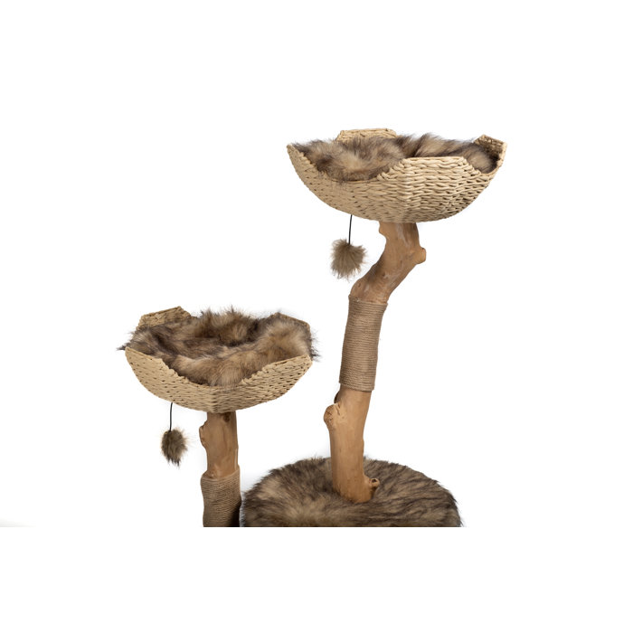 Tucker Murphy Pet™ 46" Seeman Double Branch Cento Cat Tree & Reviews ...