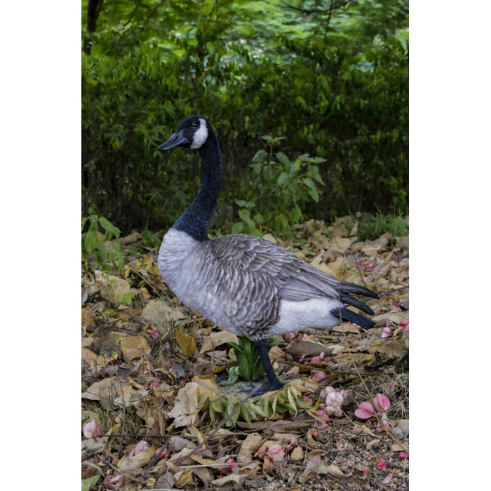 Hi-Line Gift Ltd. Standing Canada Goose Statue | Wayfair