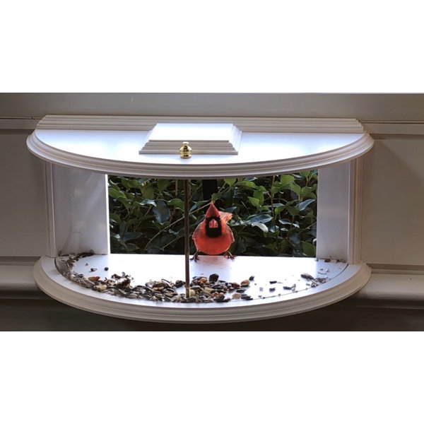 Arlmont & Co. Krick View Window Tray Bird Feeder & Reviews | Wayfair