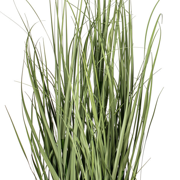 Gracie Oaks 36'' Faux Succulent Grass in Pot & Reviews | Wayfair