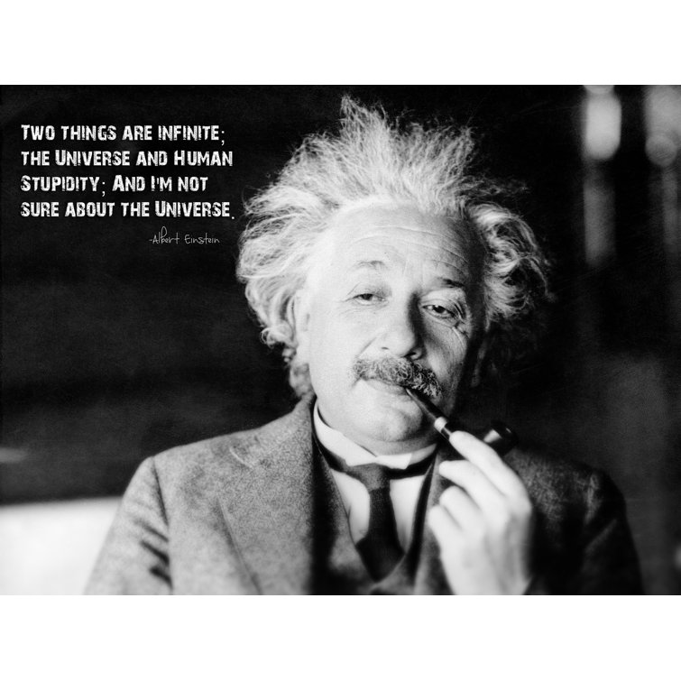 Ebern Designs Two Things Are Infinite,The Universe And Human Stupidity ...