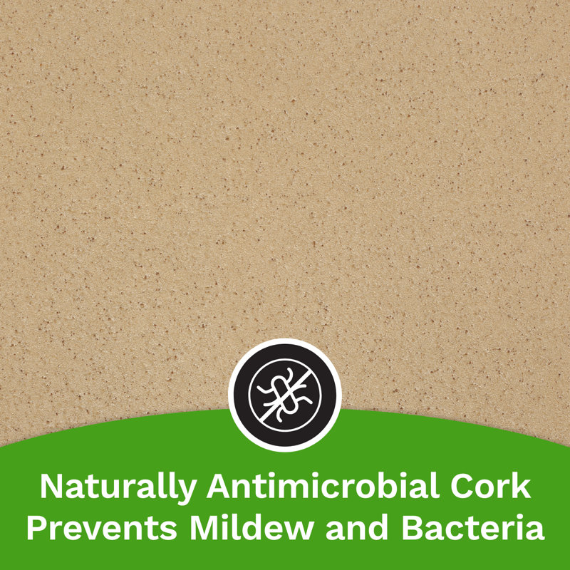 Eco Cork Foam Cork Underlayment Roll (300 sq.ft./roll) & Reviews | Wayfair