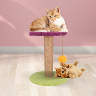 Wayfair | Cat Trees & Condos Under $25 You'll Love in 2023
