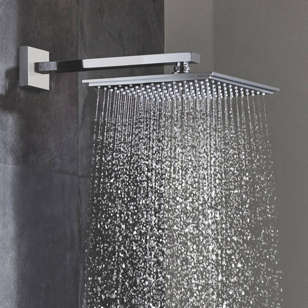 GROHE Euphoria® Multi Function Handheld Shower Head & Reviews | Wayfair