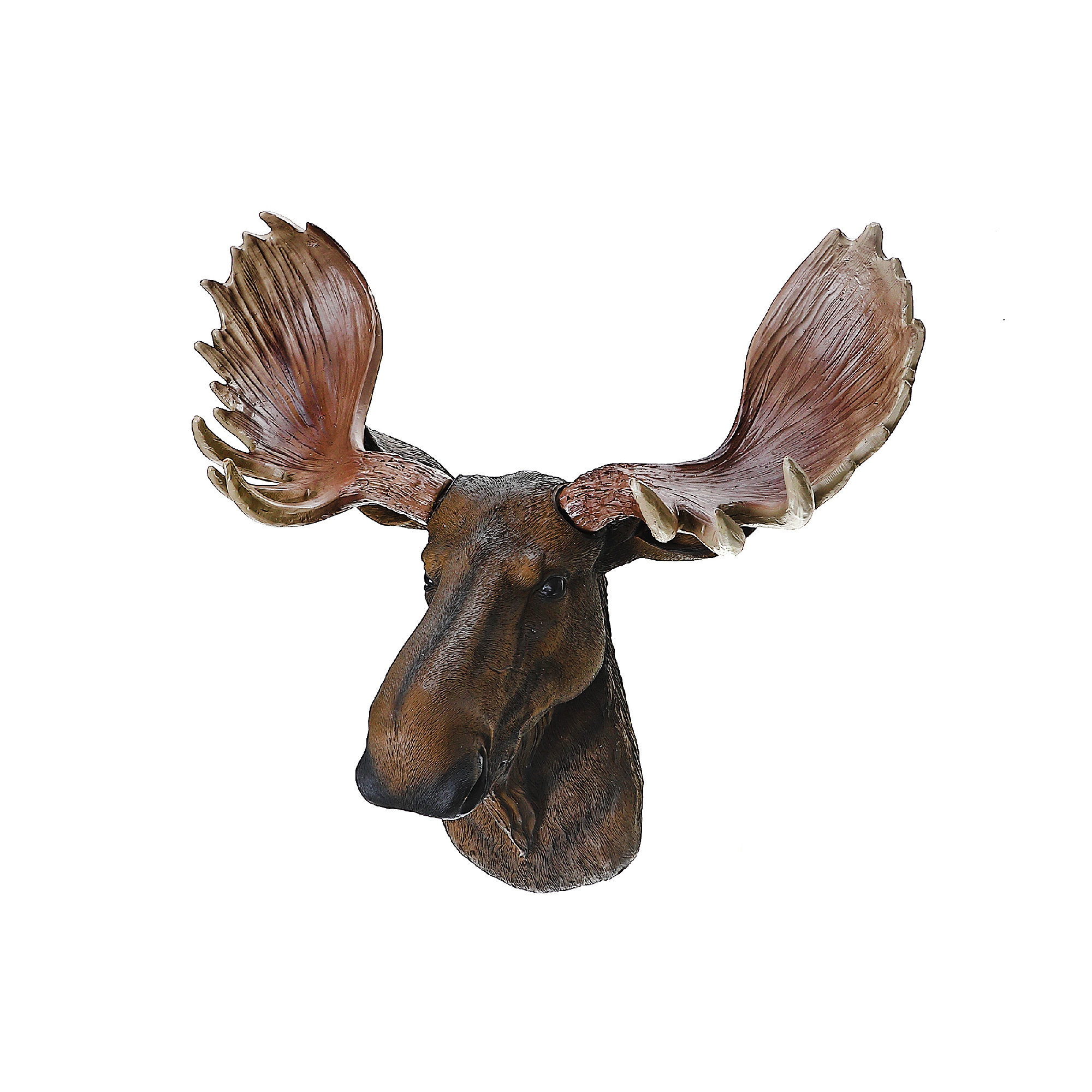 Millwood Pines Moose Head Baron Wall Décor | Wayfair
