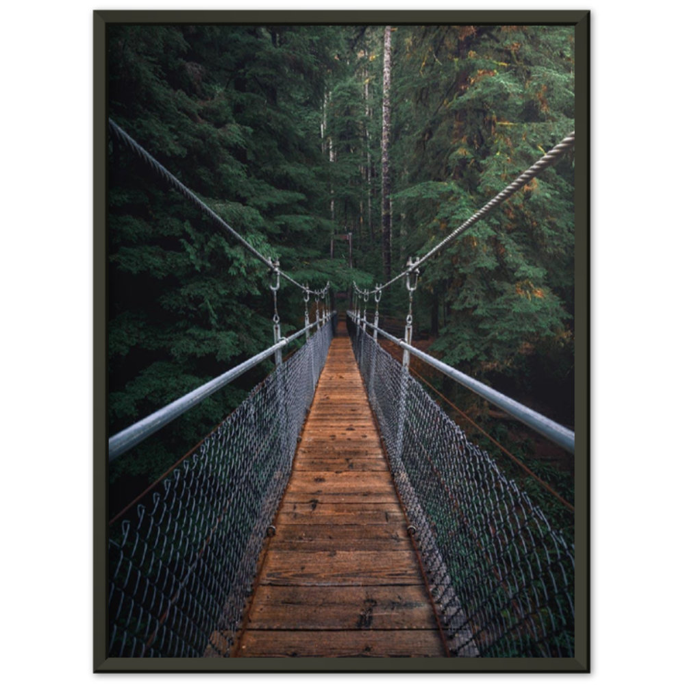 Millwood Pines Suspension Bridge Wall Décor | Wayfair
