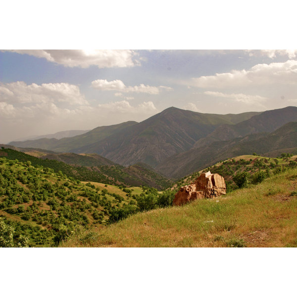 Millwood Pines Iraqi Mountains, Kurdistan Region by Snowflock - Wrapped ...