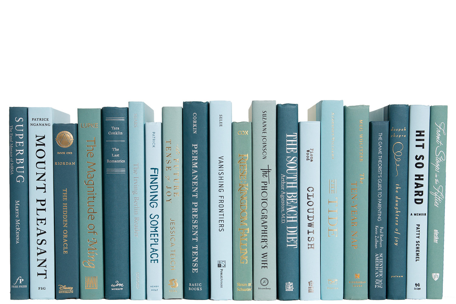 Booth & Williams Modern Gulf Coast: Color By The Foot & Reviews | Perigold