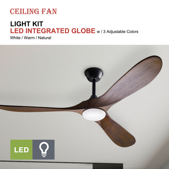 Orren Ellis Judson Ceiling Fan with LED Lights | Wayfair