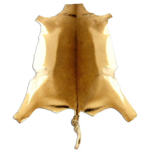 Wayfair Samples Jeisy Impala Antelope Skin - Leather Accent Deer Skin ...