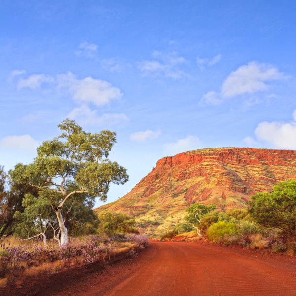 Millwood Pines Mount Nameless, Australia by Travellinglight - Wrapped ...