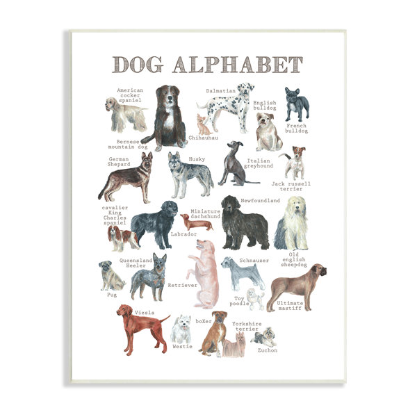 Stupell Industries Dog Alphabet Multiple Breeds Educational Animals ...