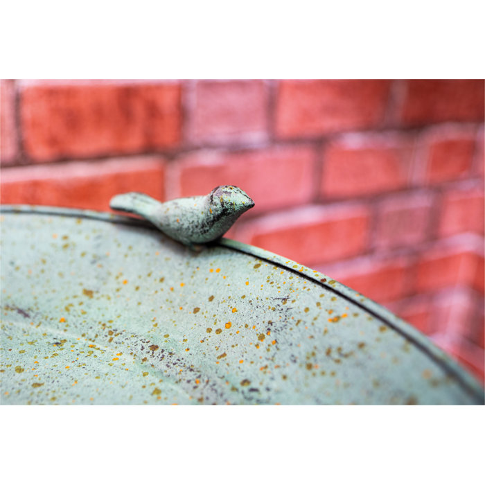 Ophelia & Co. Maymie Bird Bath | Wayfair.co.uk