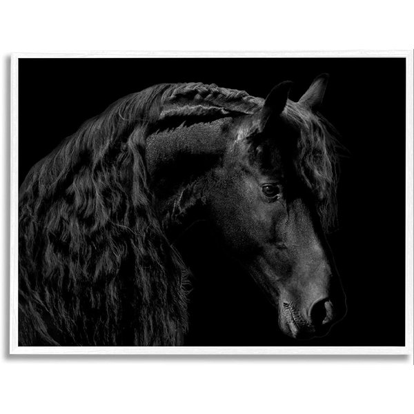 Union Rustic Black Stallion Portrait Braided Horse Mane Modern ...