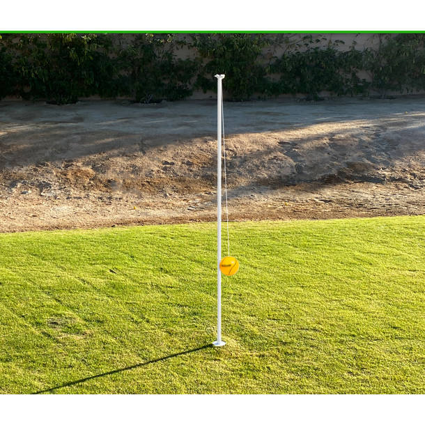 Champion Sports Deluxe Tether Ball Set | Wayfair