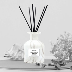 Amore Paris Premium Reed Diffusers and Sticks | Wayfair